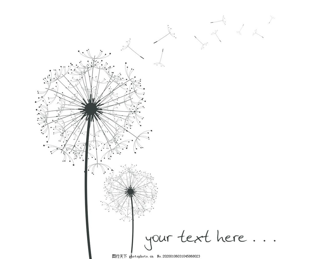 蒲公英矢量图片_其他_其他-图行天下素材网